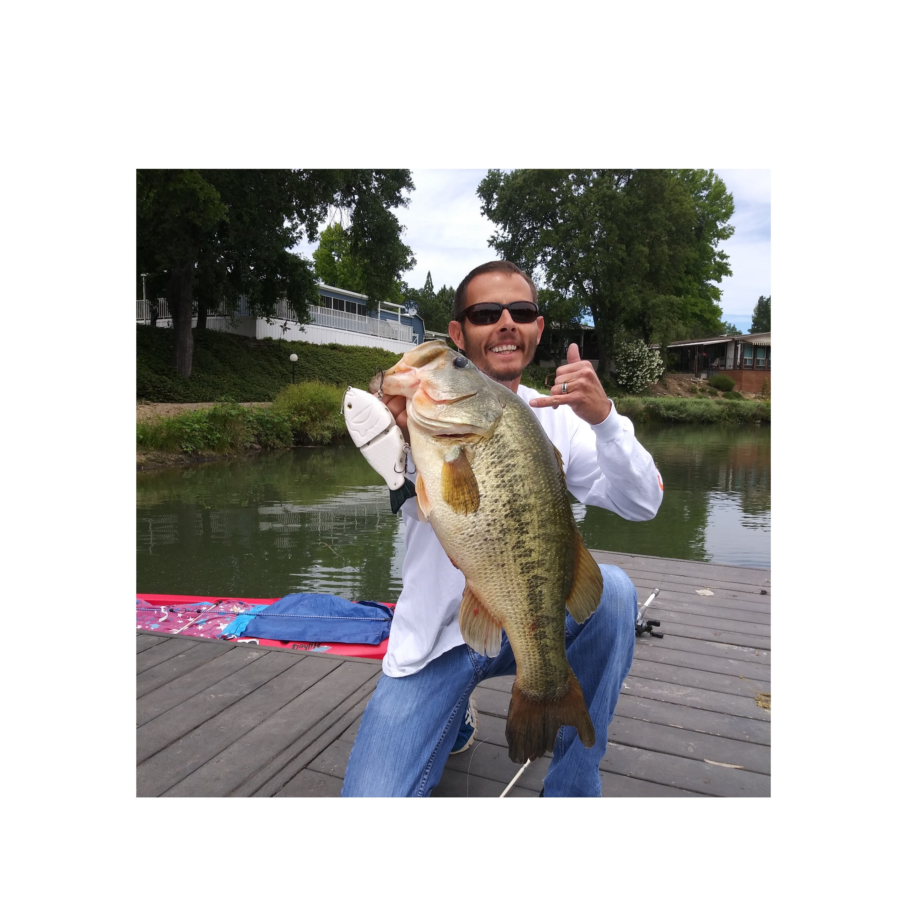 Bluegill – caliglideswimbaits